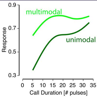 Modality Interactions
